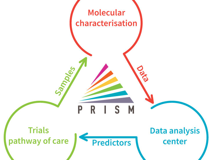 The scientific strategy | IHU Prism